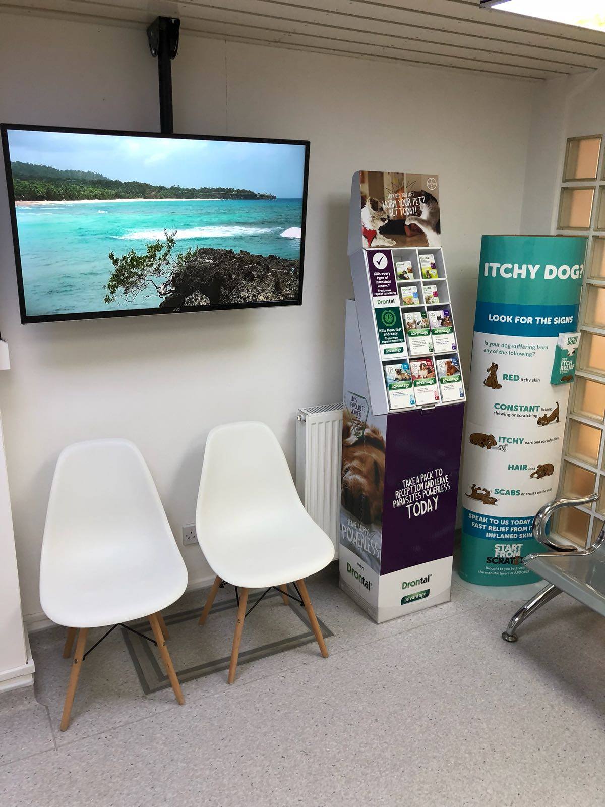 New Clients - Triovet Veterinary Practice